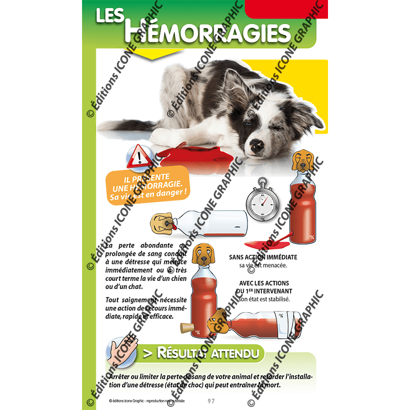 LE GUIDE PRATIQUE : 1ERS SECOURS POUR MON CHIEN ET MON CHAT