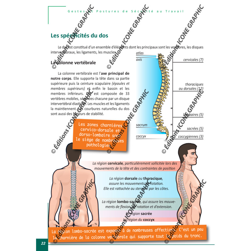 Le livre Gestes et Postures de sécurité au travail : prévention des TMS