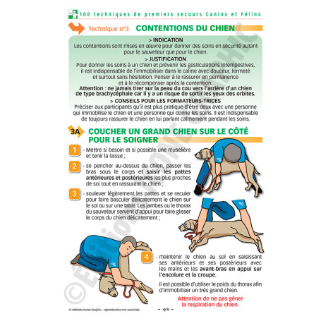 Livre 100 techniques de premiers secours canins et félins ı Éditions Icone Graphic