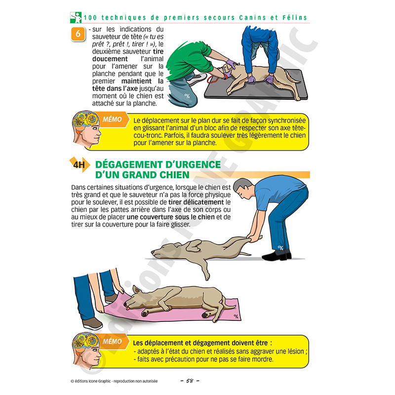 Livre 100 techniques de premiers secours canins et félins ı Éditions Icone Graphic