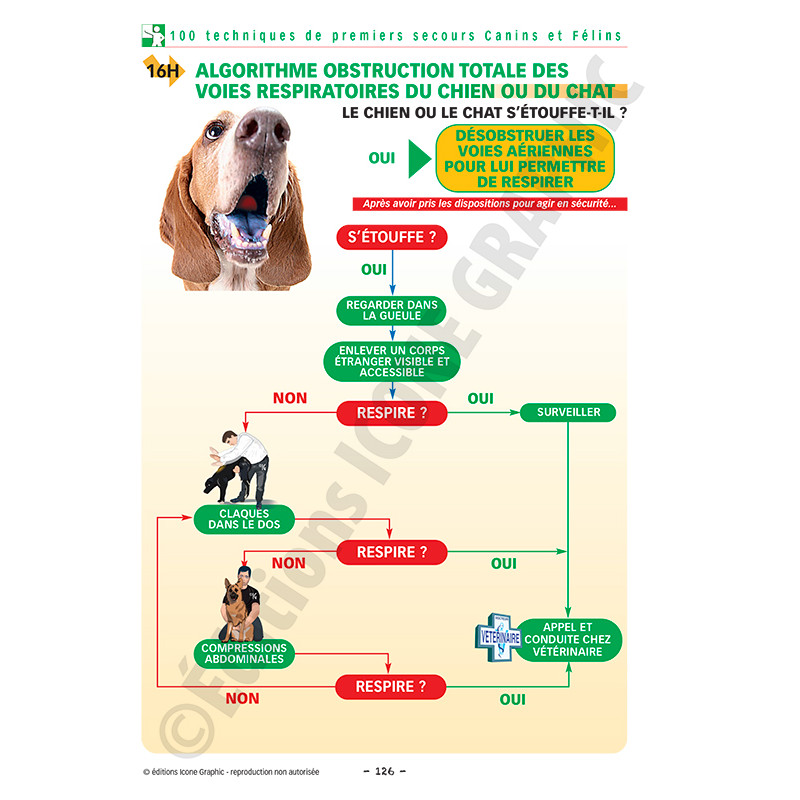 Livre 100 techniques de premiers secours canins et félins ı Éditions Icone Graphic