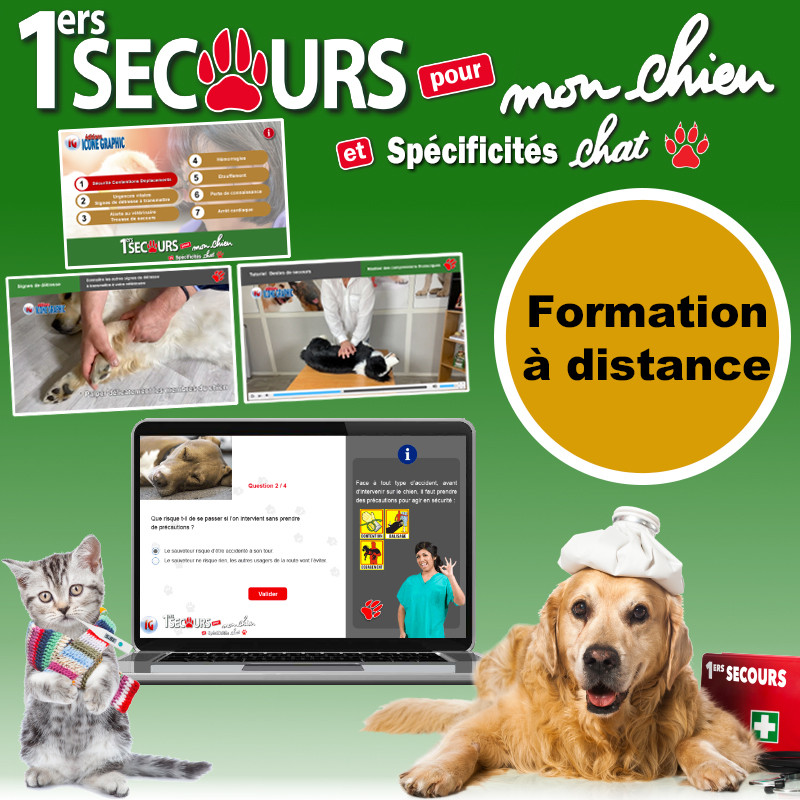 Formation en ligne aux premiers secours chien et chat (sauveteur animalier niveau 1) ı Éditions ...