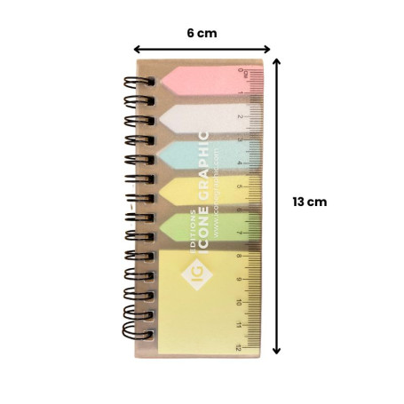 Carnet de notes mémo 3-en-1 : réussir ses révisions ! ı Editions Icone ...